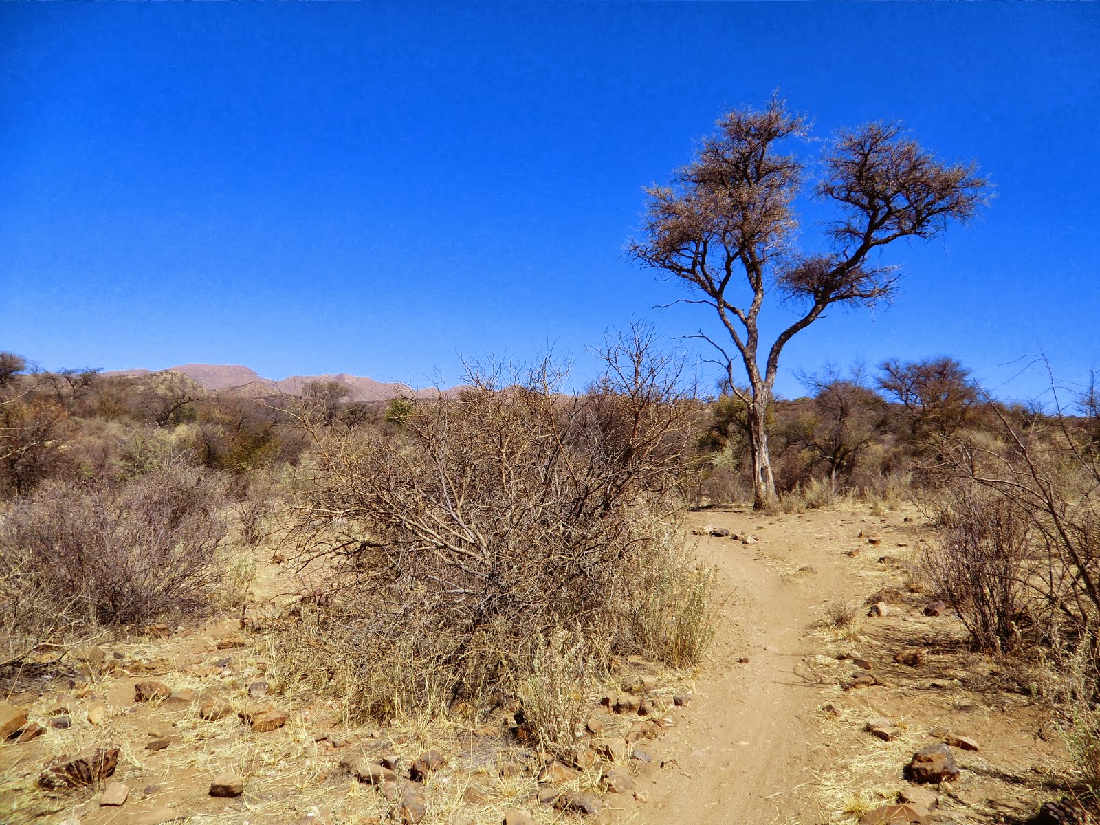 Abenteuer Namibia: Showground, Craftmarket
