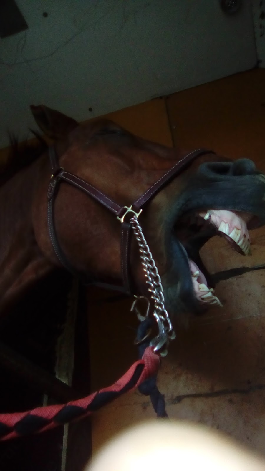 Kalkaros 29,4ake 29,8ke