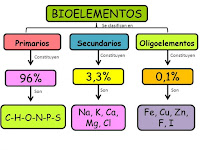 BIOELEMENTOS: INTRODUCCIÓN