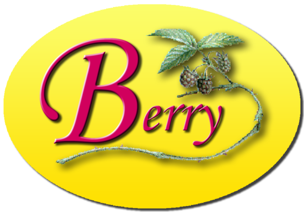 Centro de Estética Berry