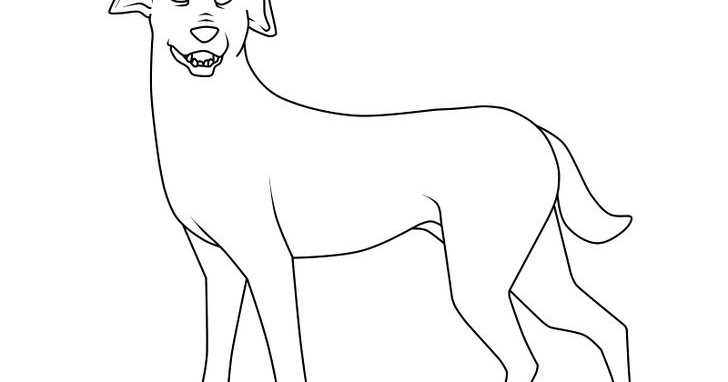 APartOCHS: Pet Legs- Prompt 29