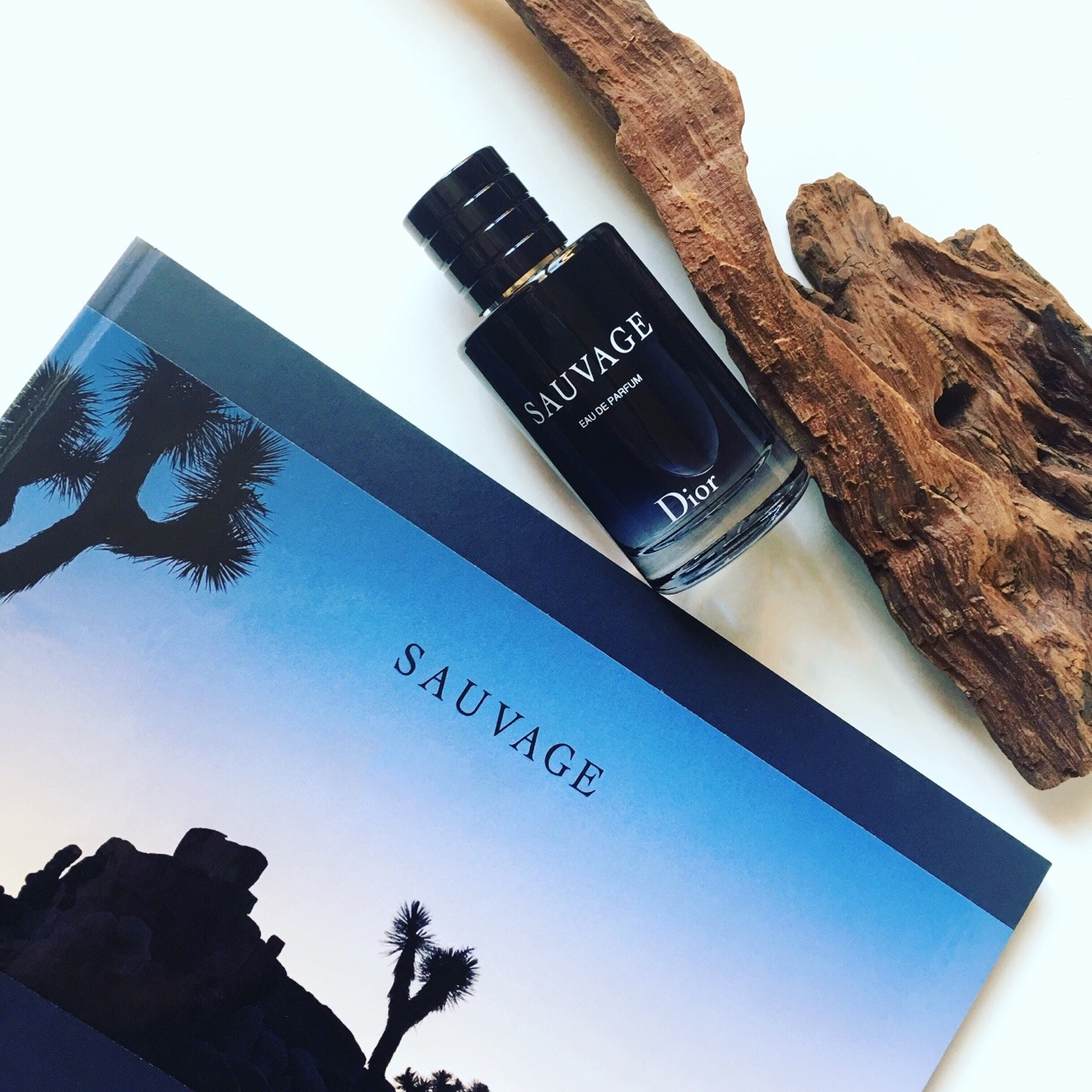 The Beauty Cove: IL PROFUMO: SAUVAGE - EAU DE PARFUM di DIOR