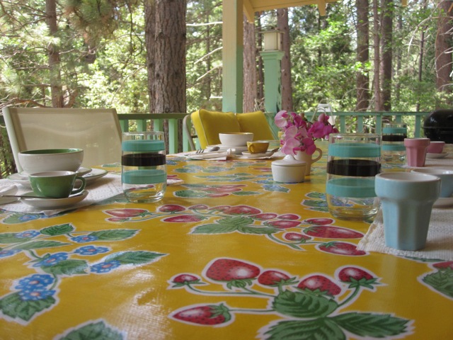 Fun Friday: Outdoor Tea Party - GoExploreNature.com