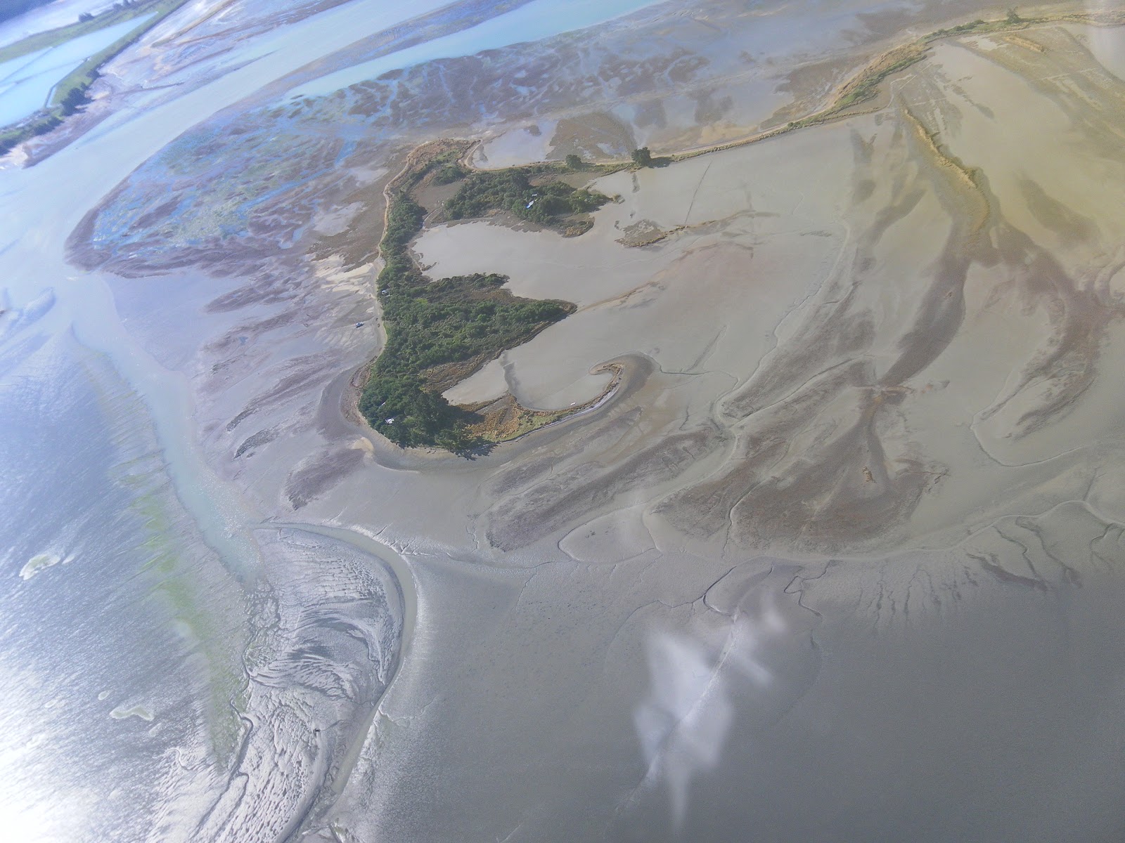 Explore and Discover Nature: Exploring Patterns in Nature - finding ...