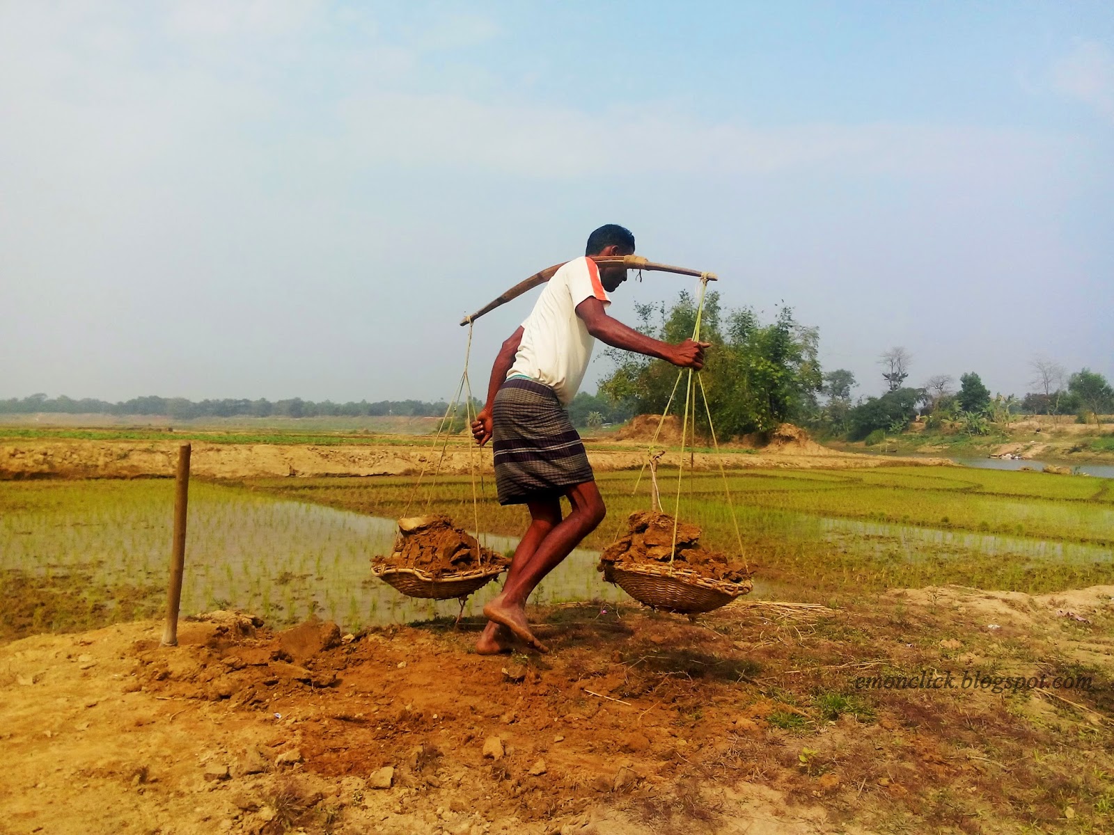 Best Photo Collection : Some Rural Scenery of Bangladesh