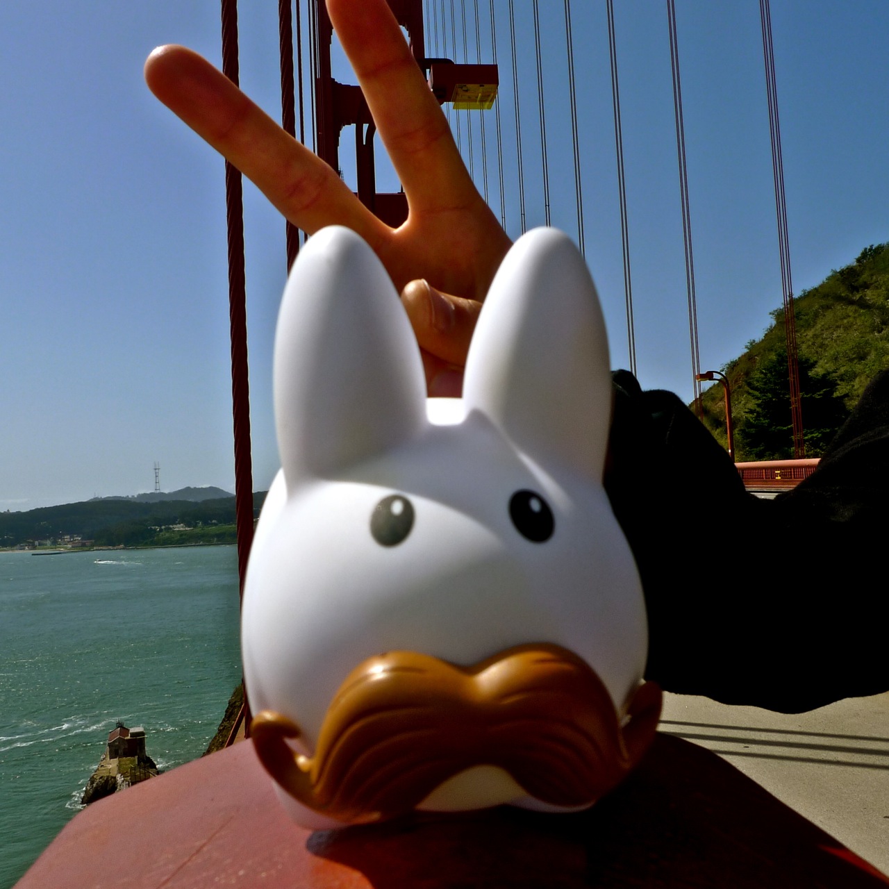 Year of the Labbit: Labbit Travels: Golden Gate Bridge