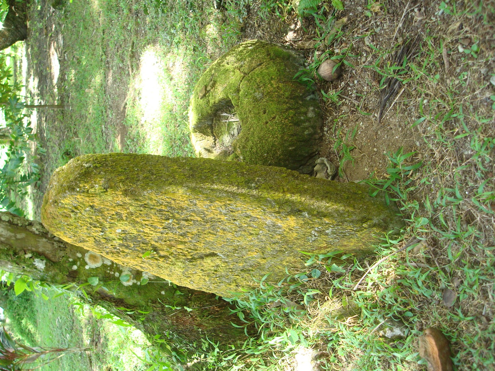 paleric: THE LATTE STONE