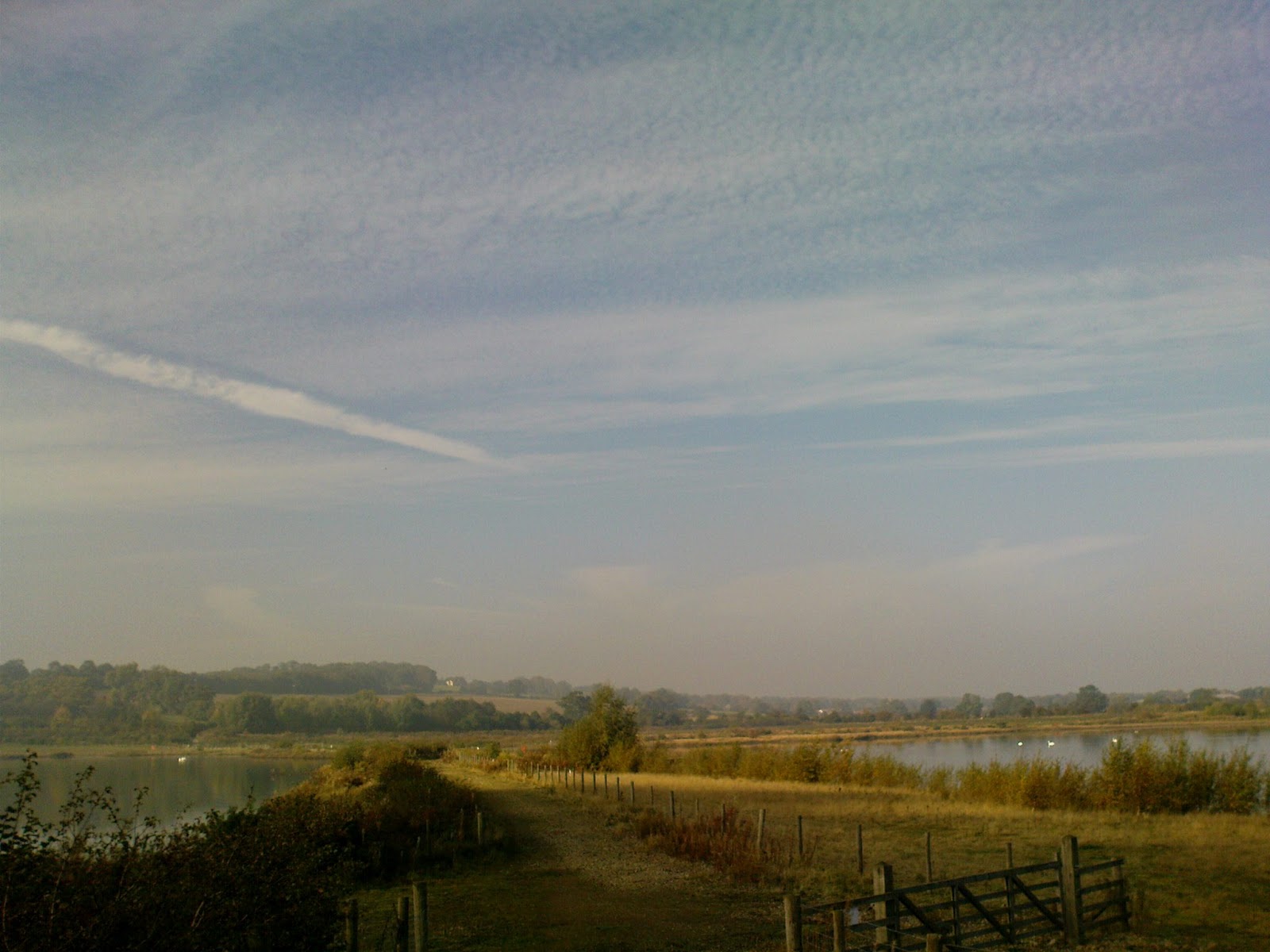 Floods, fog and feathers - Start Birding