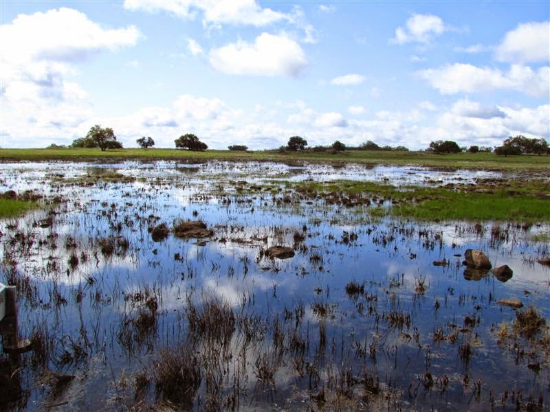 The Santa Rosa Plateau... - HAERR TRIPPIN'