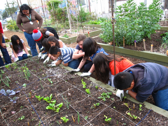 Stress-free Gardening