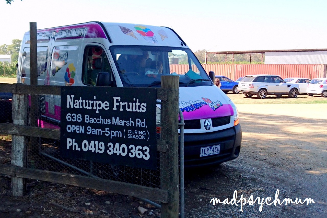 MadPsychMum | Singapore Parenting + Travel Blog: Melbourne II Day 2 ...