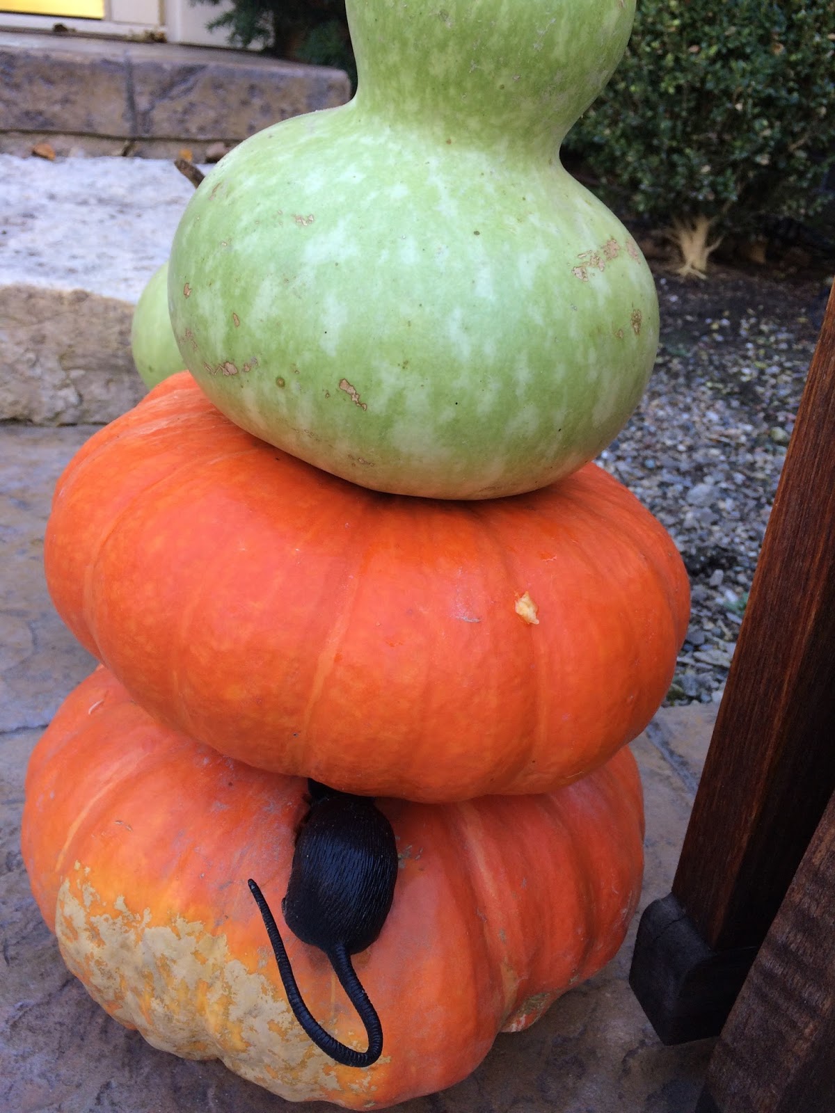 Make My Day Camp: Pumpkin Line-Up