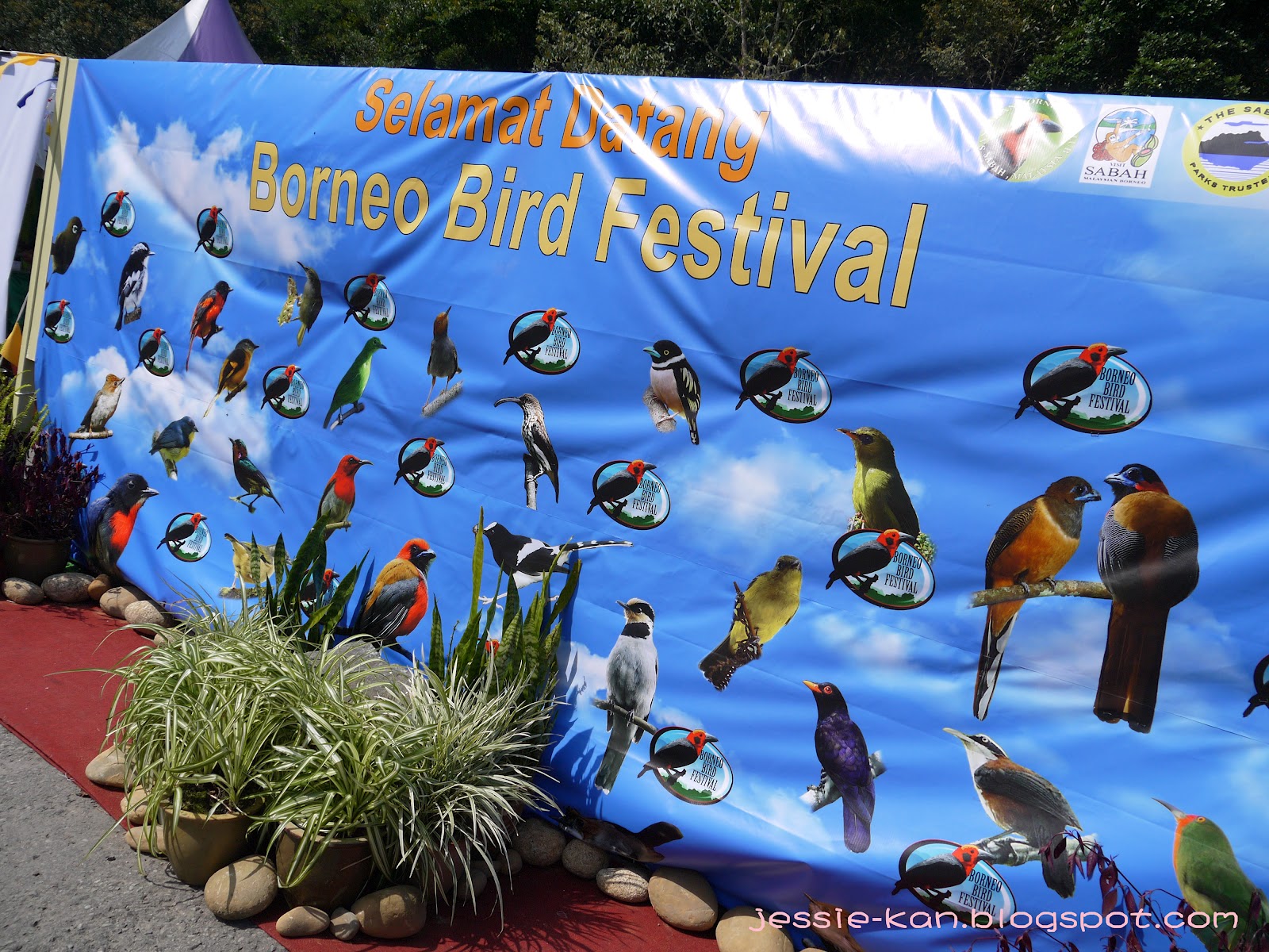 Jessie's Blue Sky: Borneo Bird Festival 2012 @ Kinabalu Park