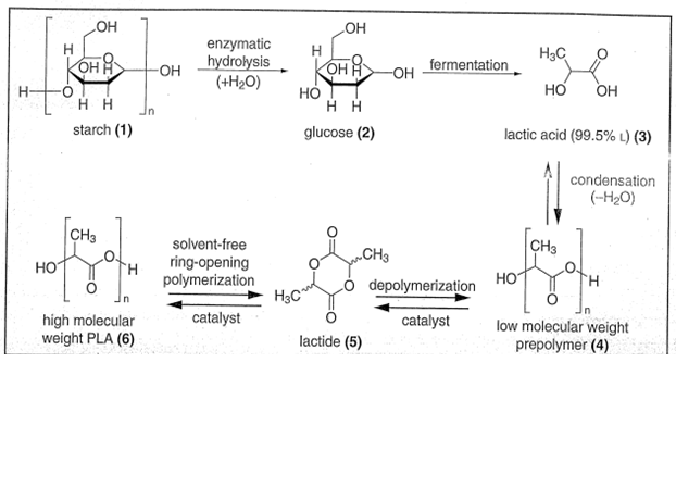 Synthesis of Bioplastic(Polylactic acid) from Corn