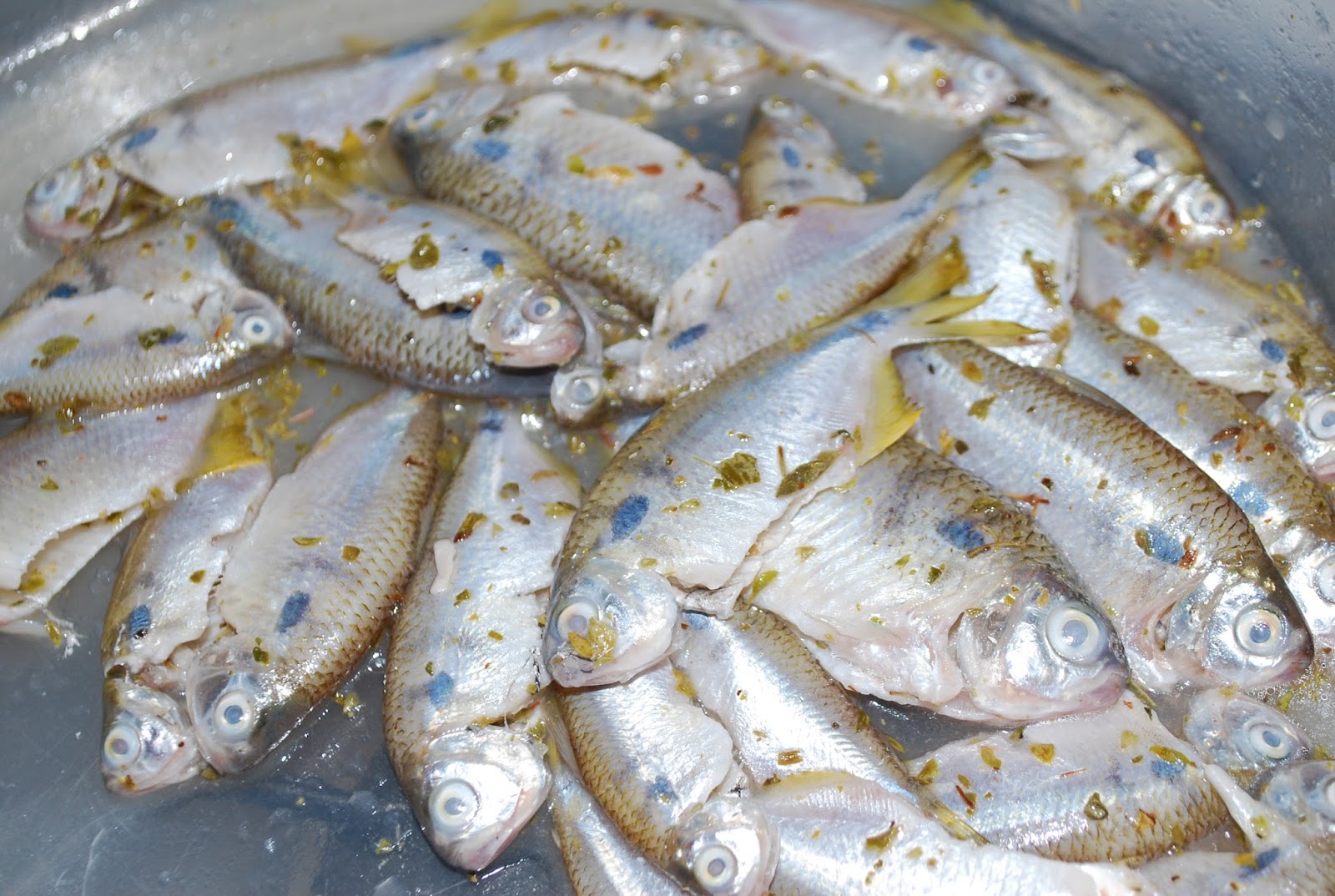 Pescaria de dicas: Como preparar Lambari frito