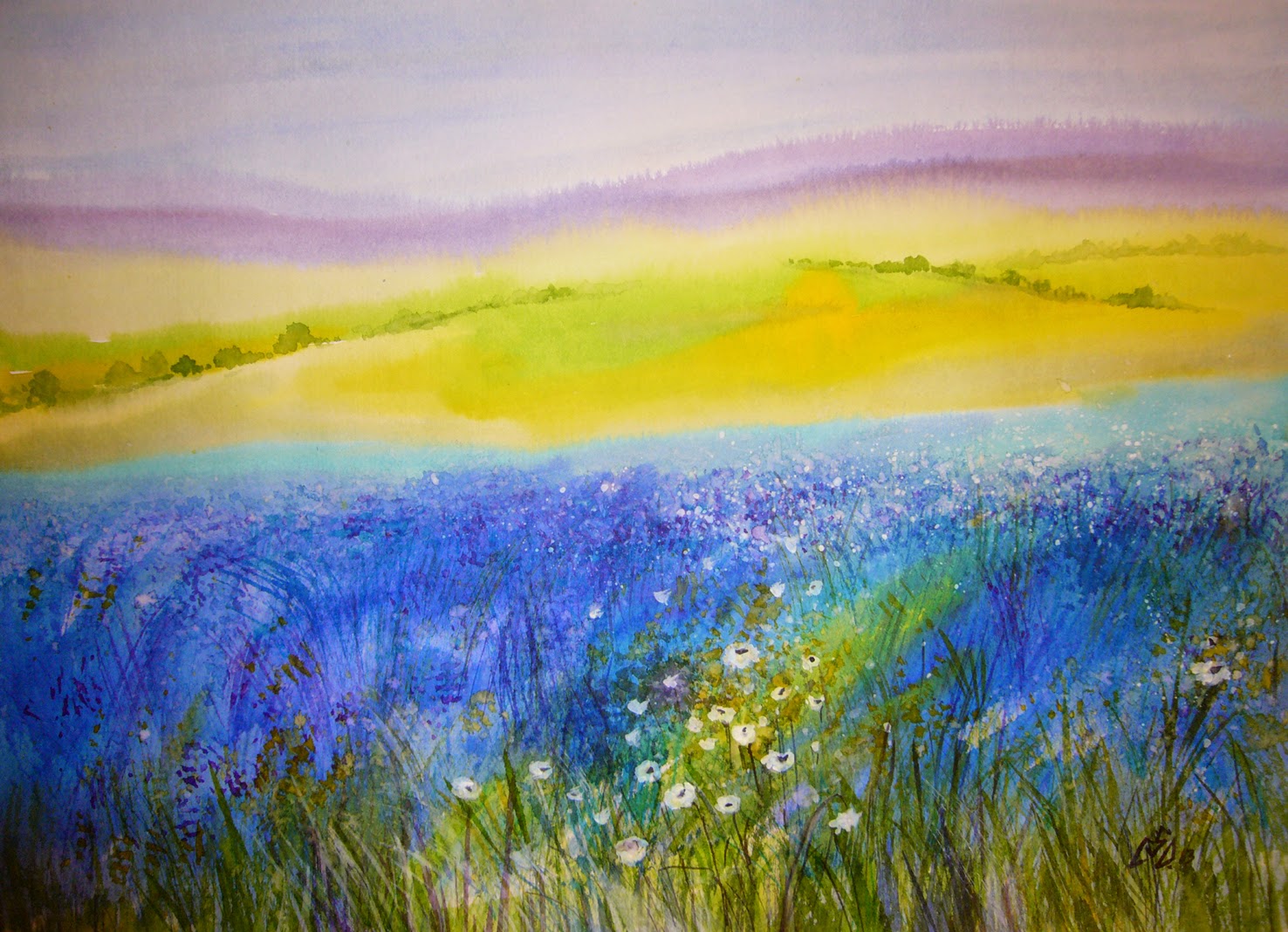 PICTURI CU PEISAJE: iunie 2016