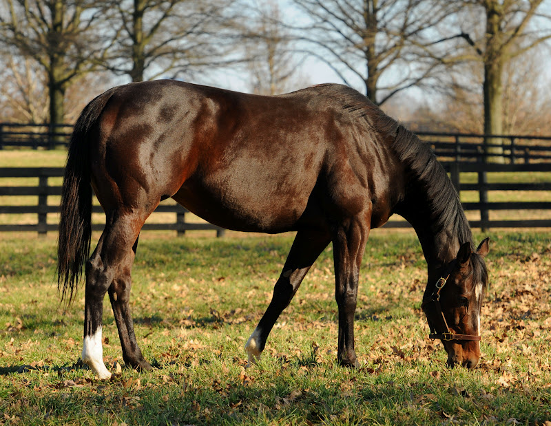 Two Minute Lick: Remembering Mighty Rachel