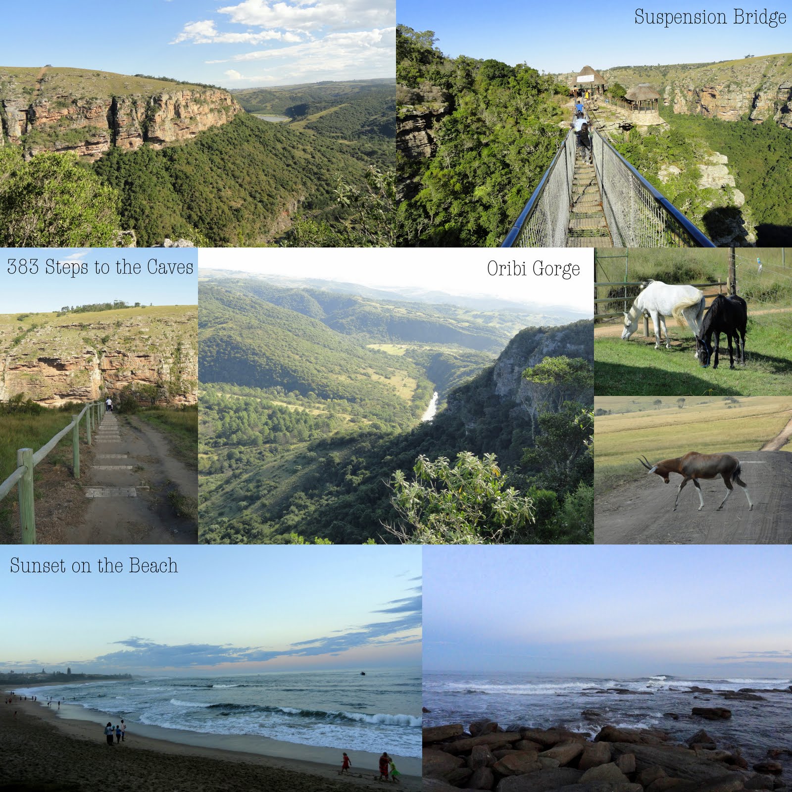 Frills and Thrills: The Amazing Oribi Gorge