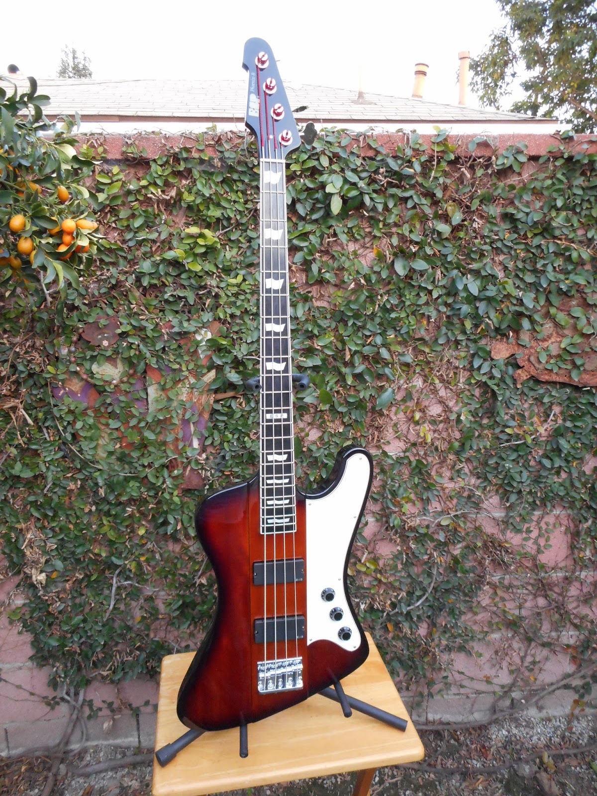 Rex and the Bass: ESP Standard Series Phoenix II B Electric Bass Review