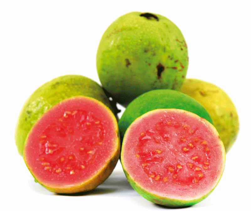 Top 18 Healthy Reasons to Eat Guavas This Season! Health Benefits of ...