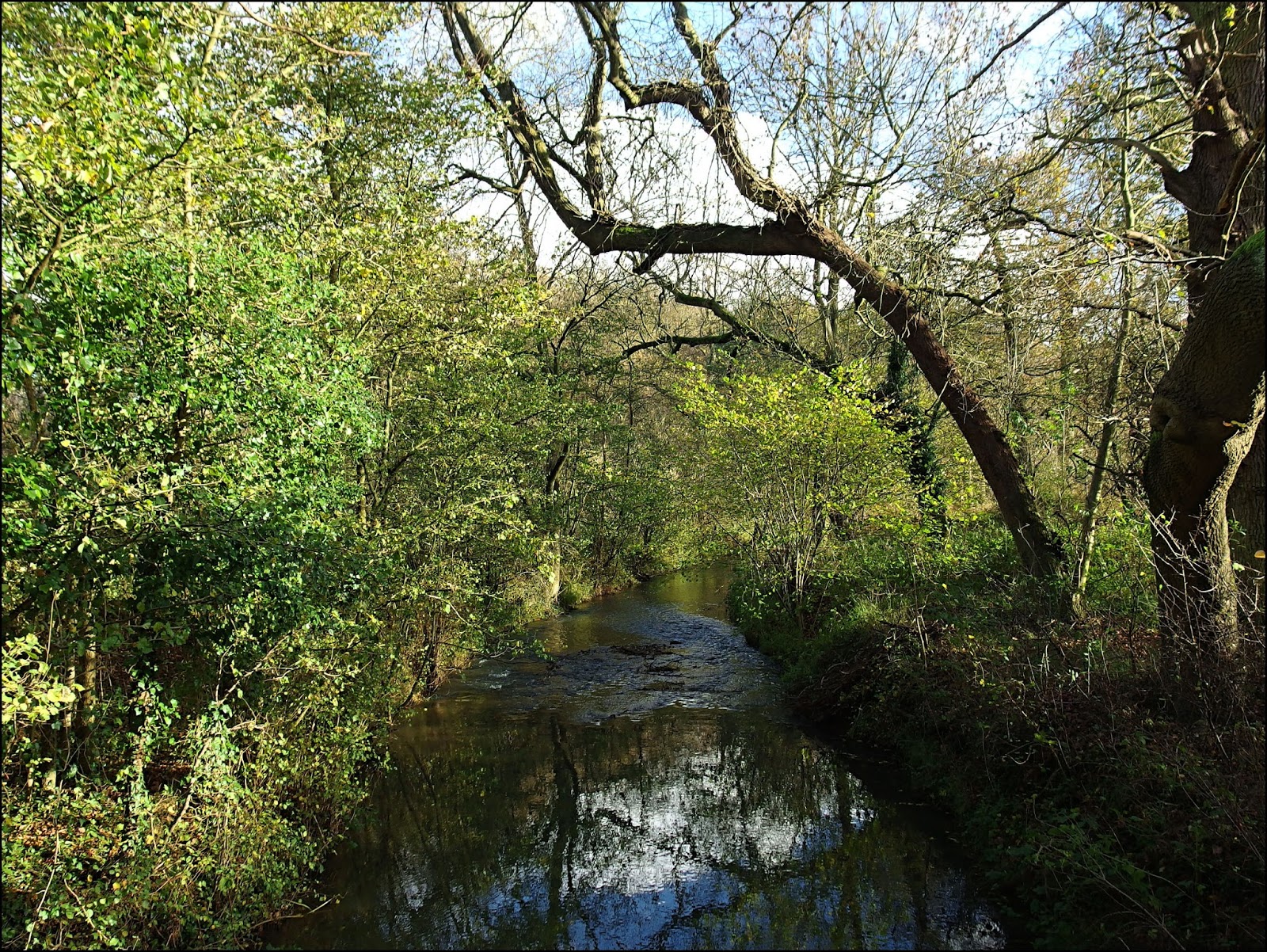 "By Stargoose And Hanglands": The Valley Of The River Ash