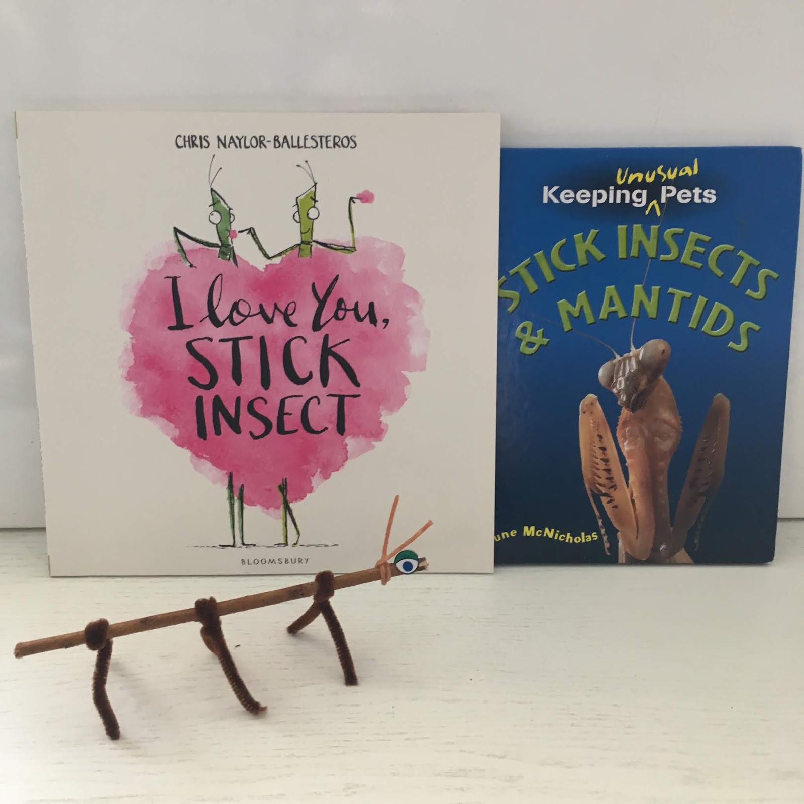 Space On The Bookshelf: ‘I Love You Stick Insect’ by Chris Naylor ...