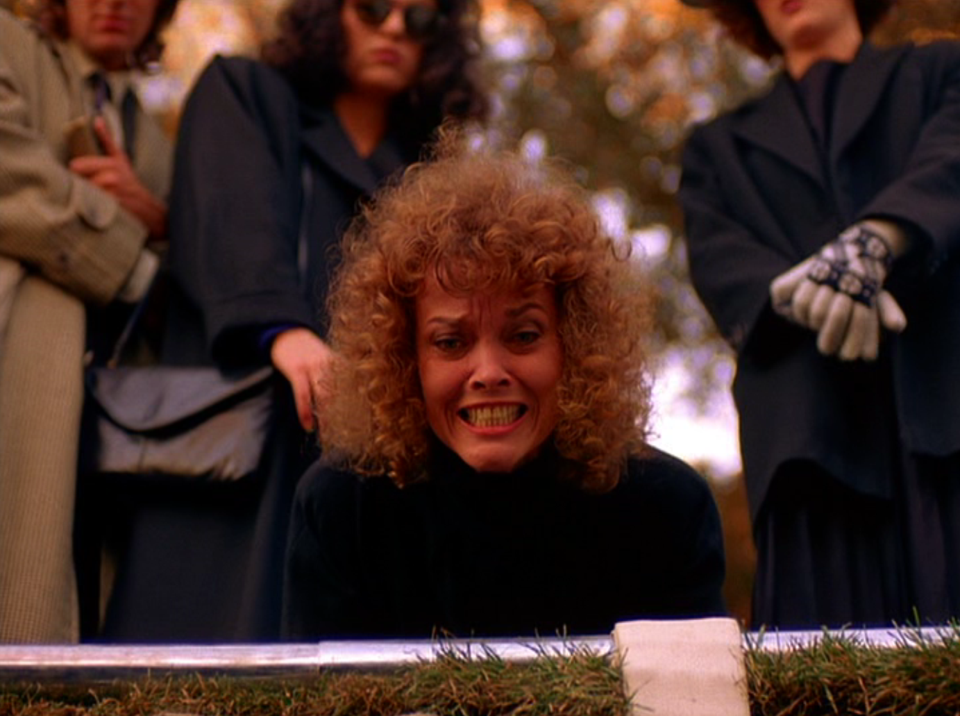 Lost in the Movies: Sarah Palmer (TWIN PEAKS Character Series #24)