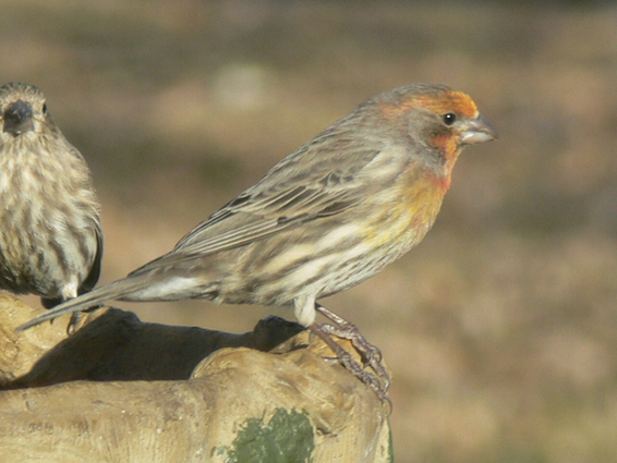 That's So Random, Mr. Klock...answers to questions you didn't know you had!