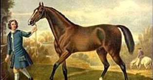 Bottrill family history: BOTTERILL'S HORSE