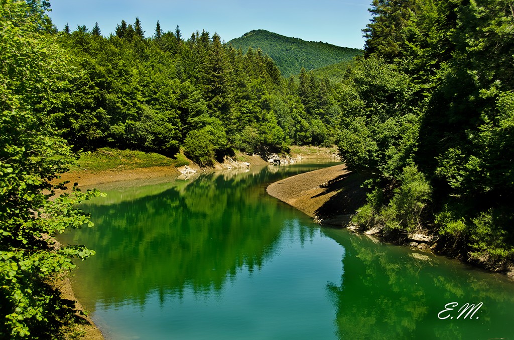 ENCARNA MARI: SELVA DE IRATI, NAVARRA