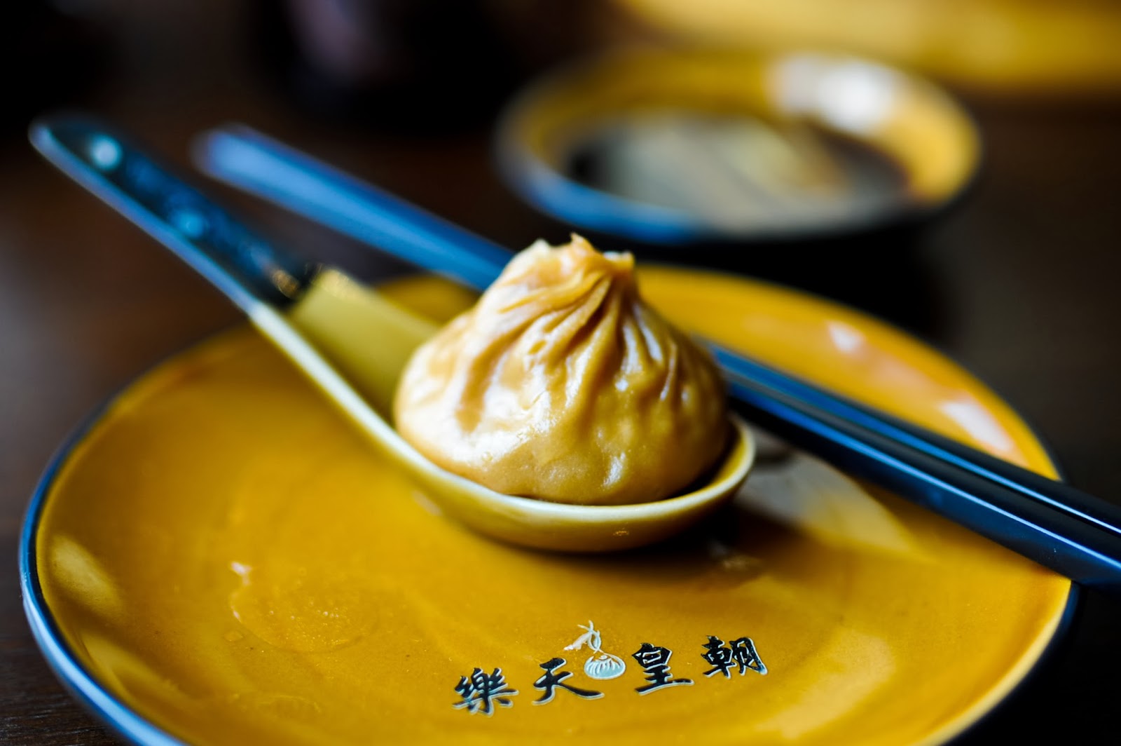 Life on Nanchang Lu: Shanghai Dumpling Wars: A New Contender Emerges in ...