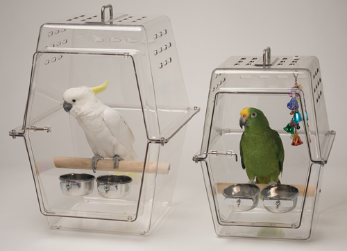 Wings and Things: How do I Export My Pet Bird? 3rd Step - Crates