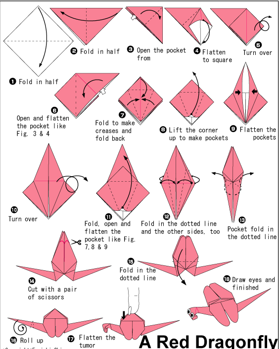 Origami For All: Origami Red Dragonfly
