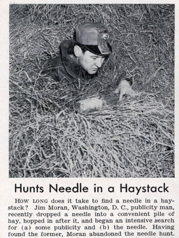 Running With Mesha: A Needle In A Haystack