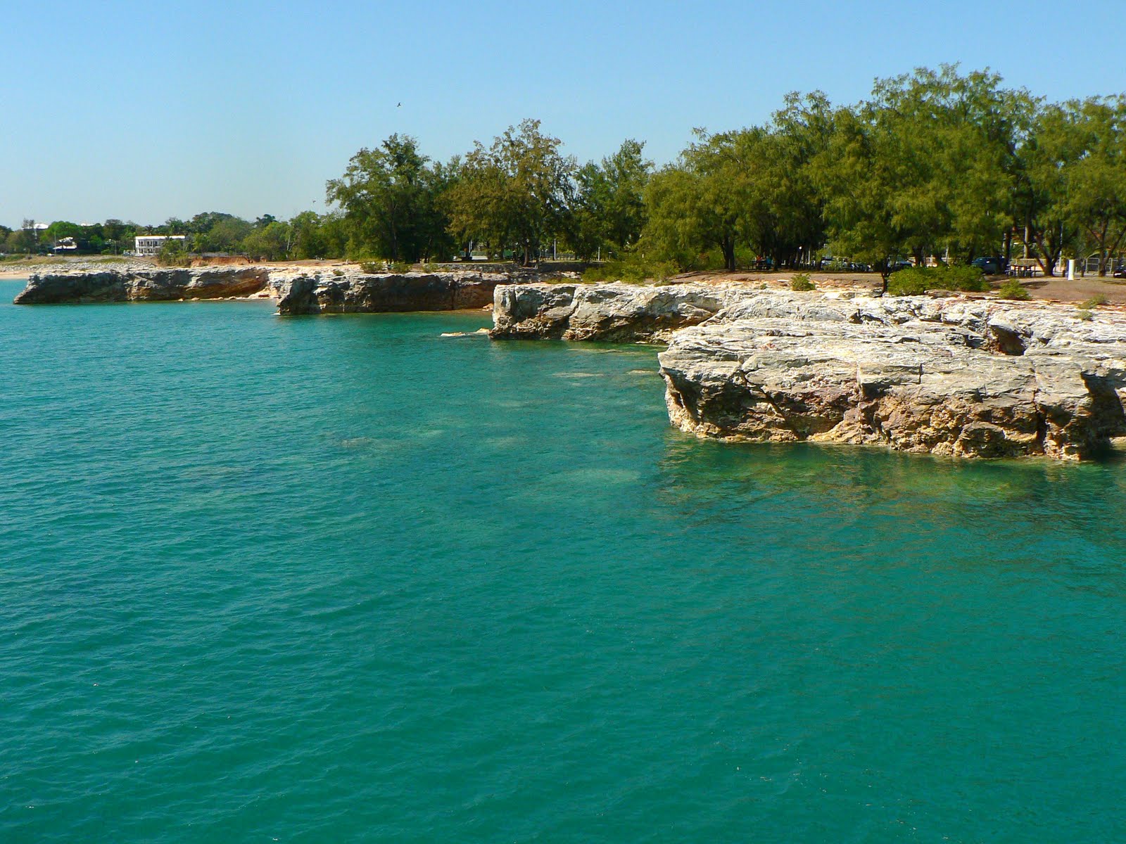 ournomadicways: Corroboree Lagoon,Darwin,NT Wildlife Park,Litchfield ...