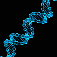 DNA Replication Process | HSEB Notes of Botany Class 12 Biology - HSEB ...