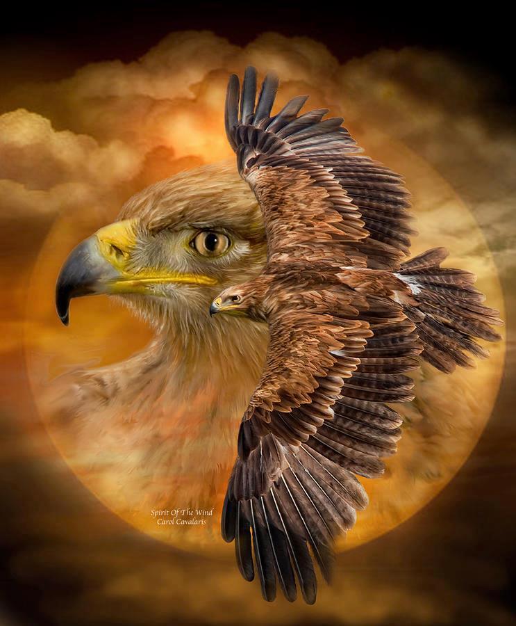 NativeTime: The Legend of First Woman ( Cherokee legend )