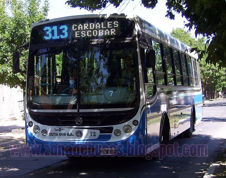 Colectibus - Zona de Buses: LINEA 313