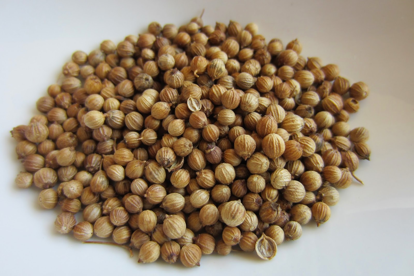 Manfaat Ketumbar Sebagai Obat Alami Bagi Kesehatan - Obat Alami