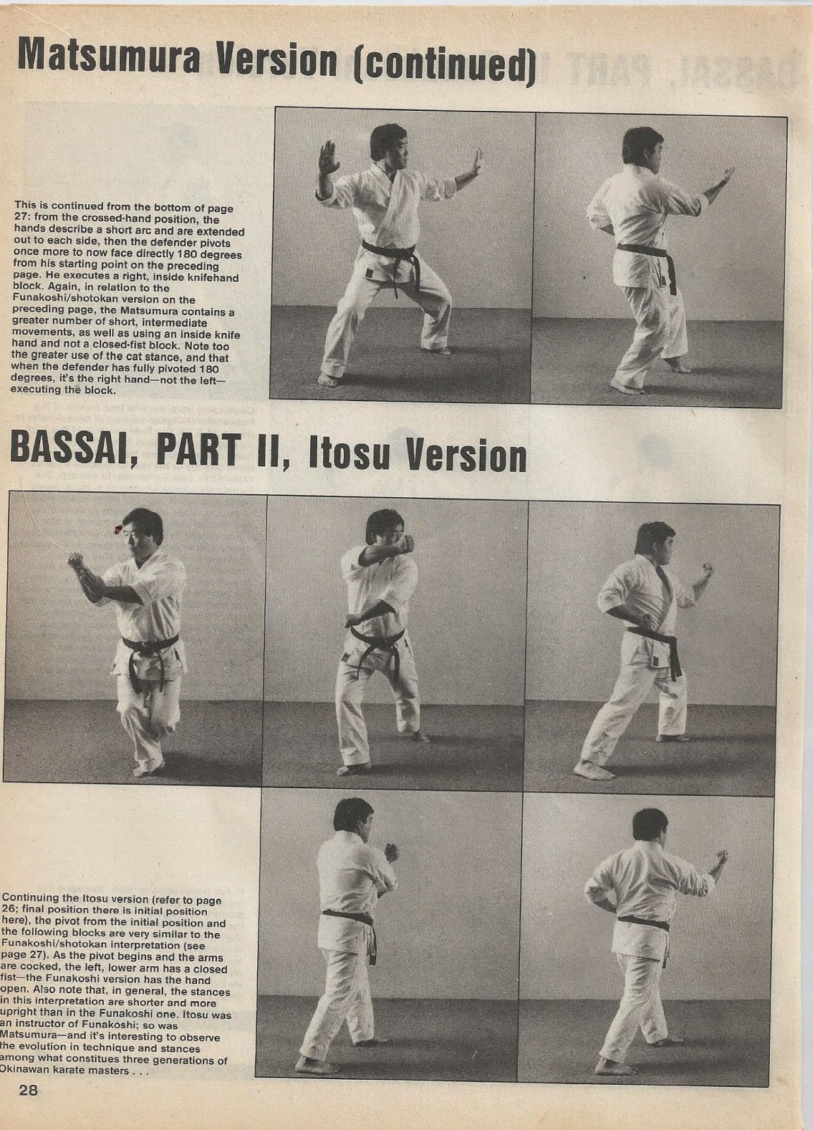 Isshin - Concentration the Art: Bassai (Patsai ) Kata by Demura Furio