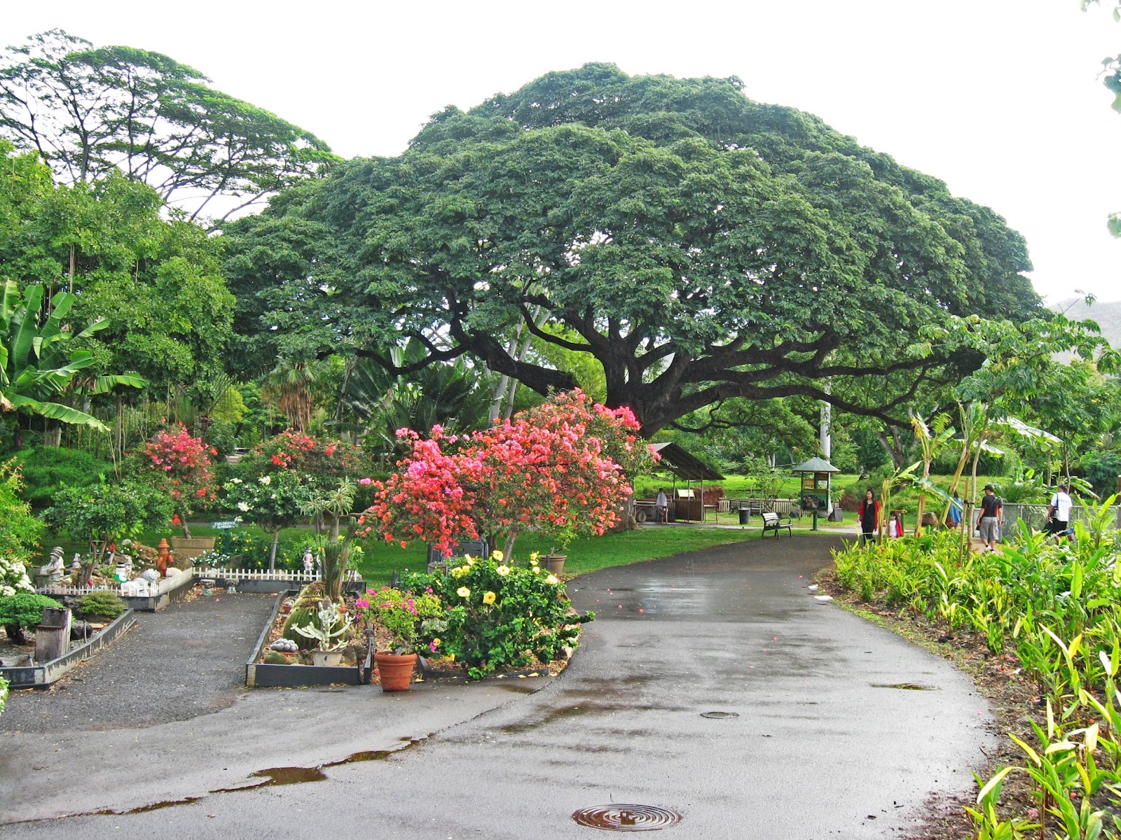 Jax Stumpes: Hawai'i - Honolulu Zoo (12/23-24/2011)