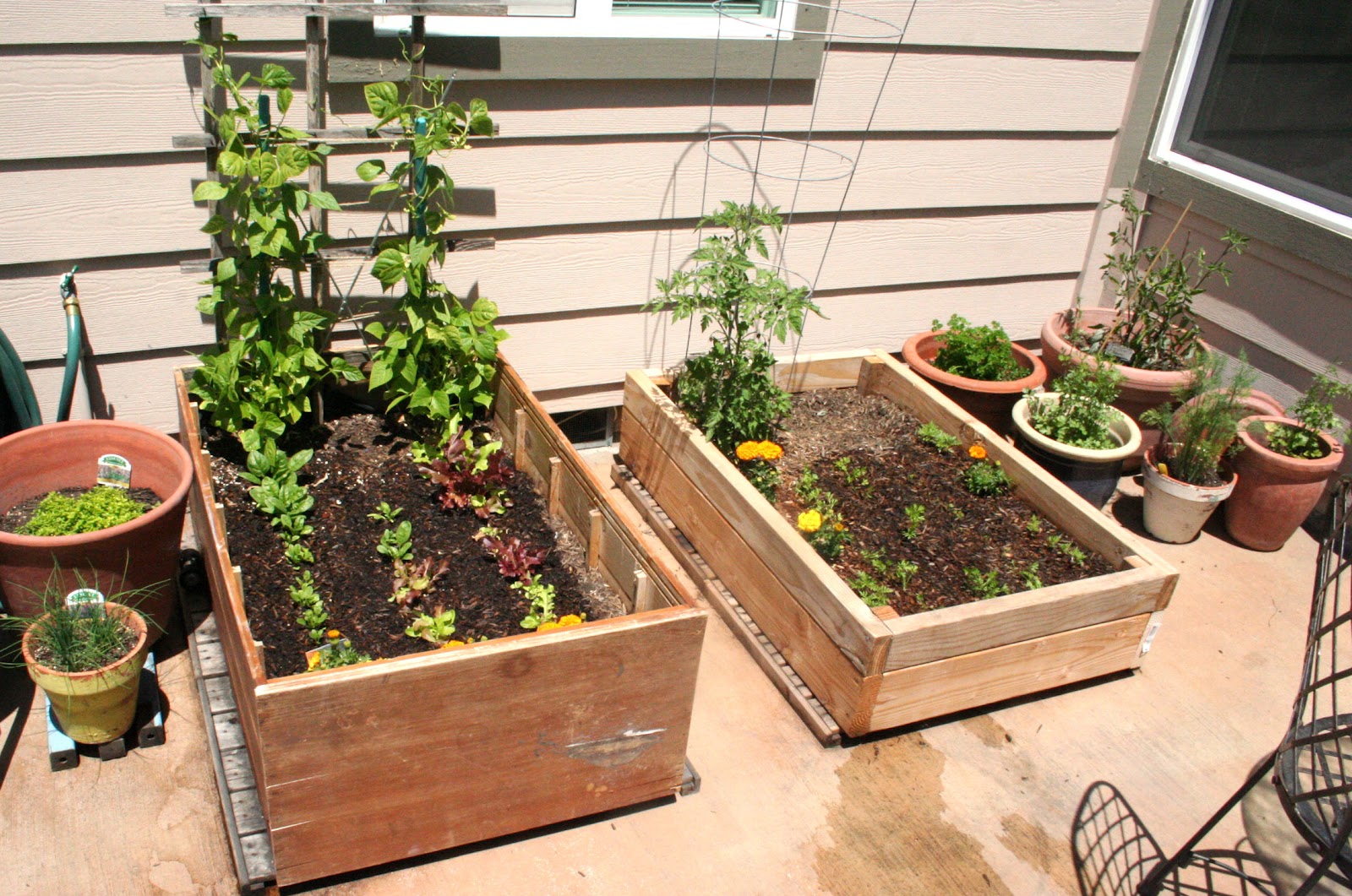 A Desire to Inspire: Dressing Up the Yard