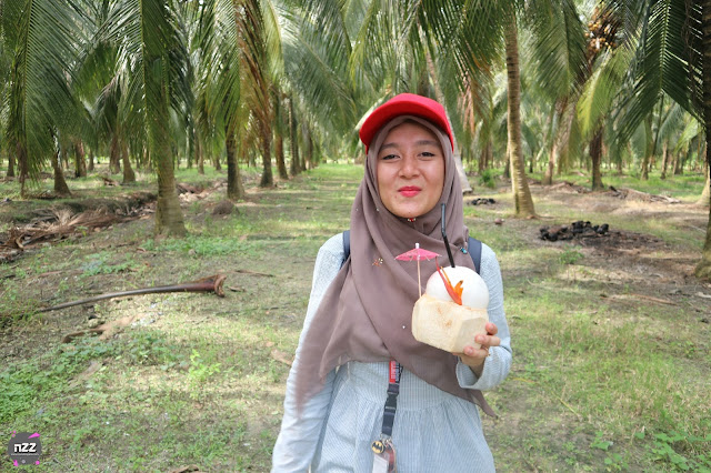 Stesen MARDI Bagan Datuk: Syurga Produk Kelapa