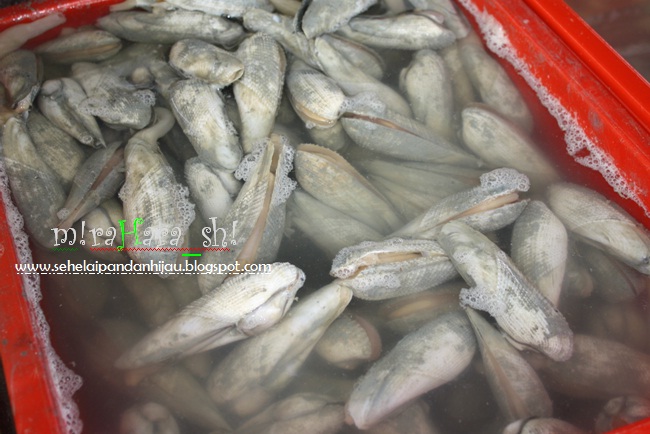 -L!fe SeeM L!ke A Ra!nBoW LaYeR-: June 2012