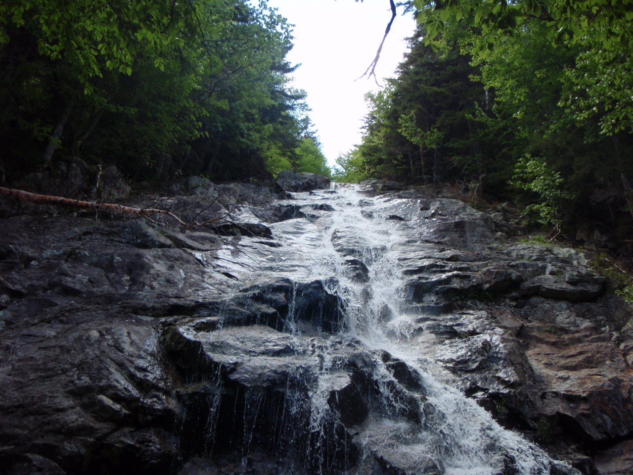 Matt's Hikes: Mount Nancy - June 16, 2012