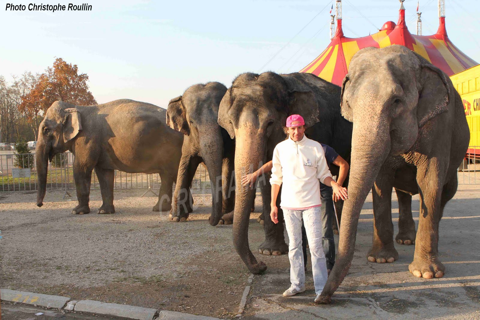 CIRCORAMA PART 1: PARIS, DÉCEMBRE 2011: 21 ÉLÉPHANTS SUR LES PISTES DE ...