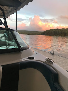 Laura Fazzini: Journal #2