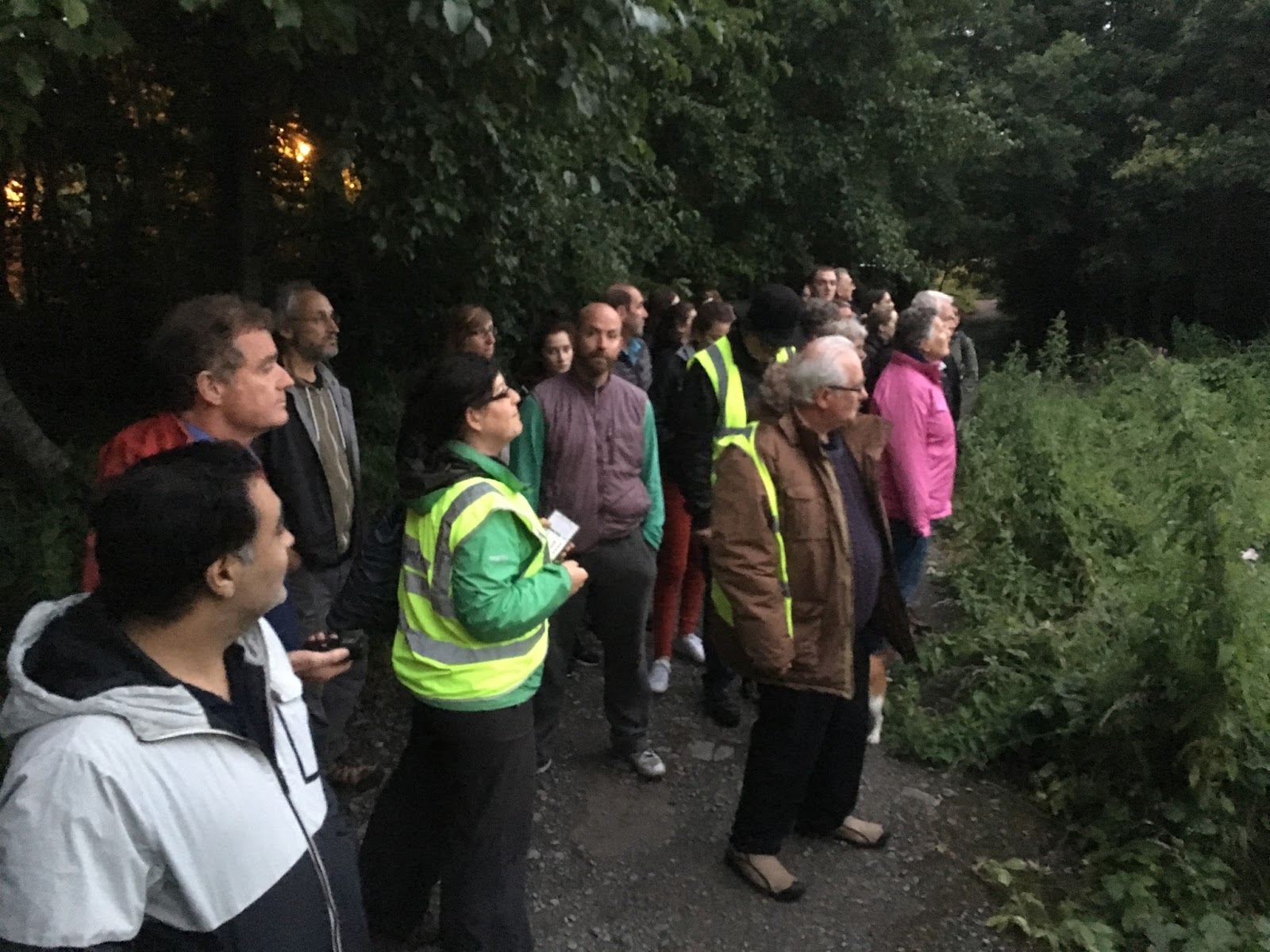 Speedie's Blog: July 21st Guided Bat Walk in Terryland Forest Park