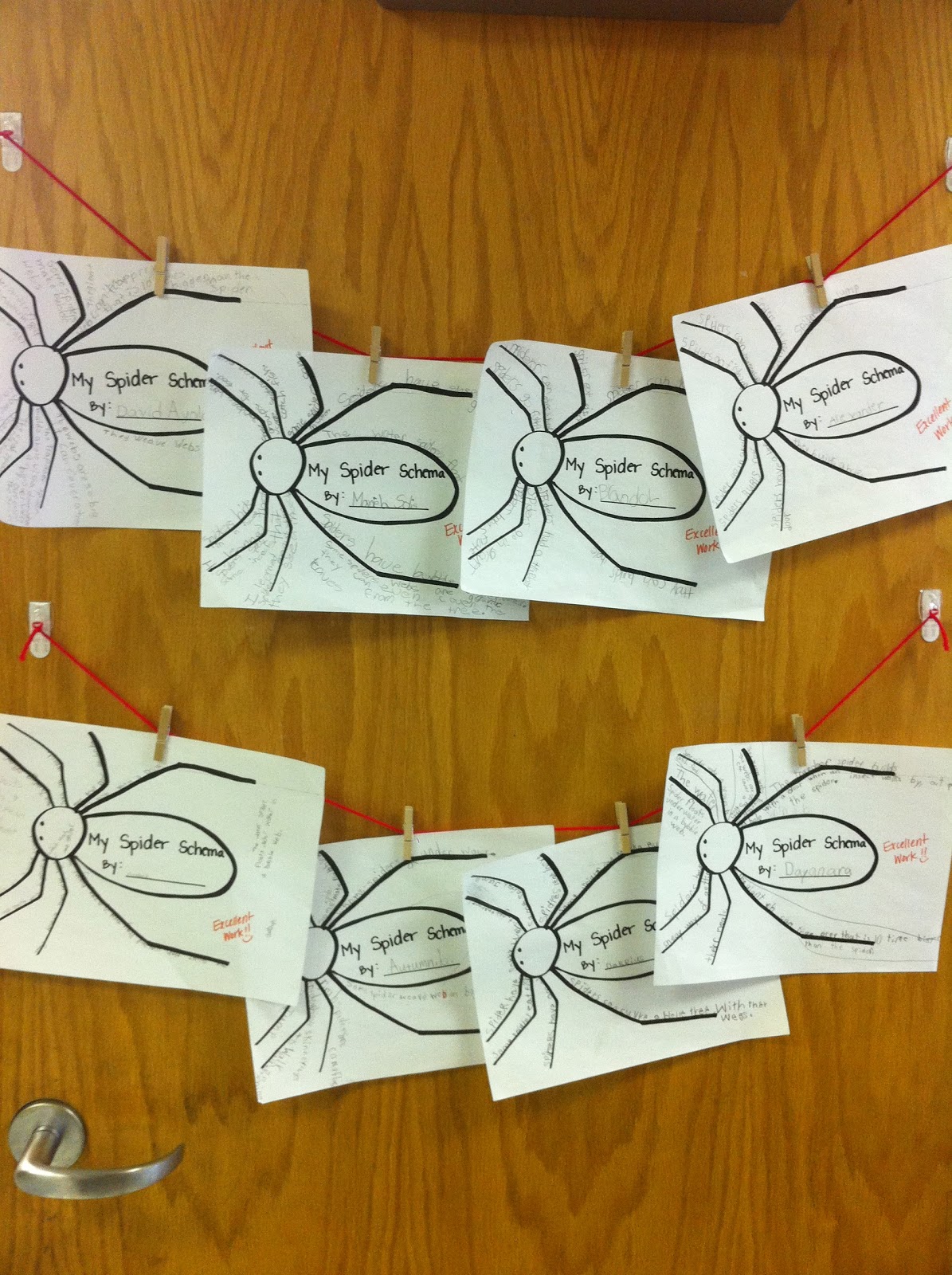 Ms. Alley's 2nd Grade Class: Spiders!