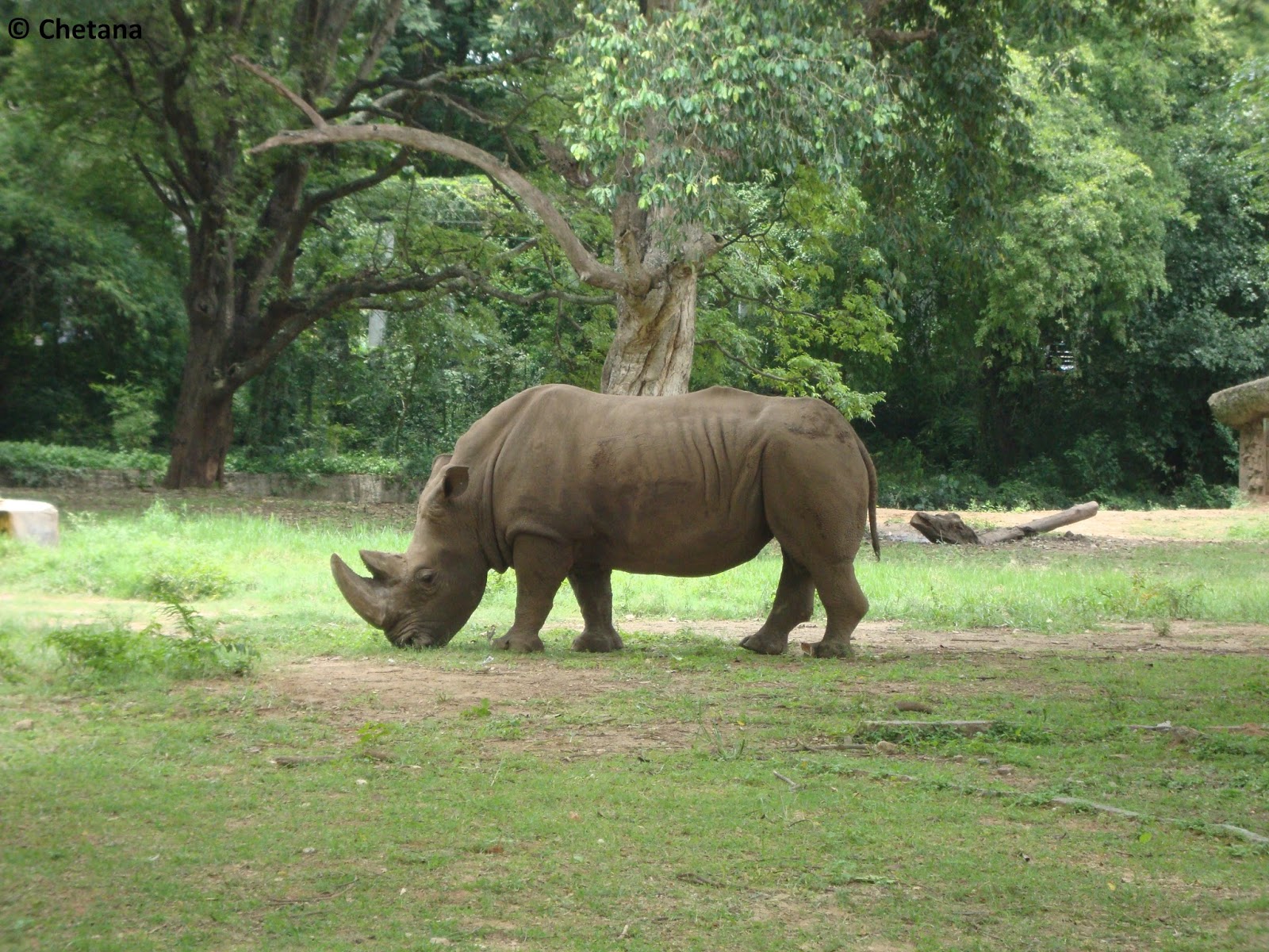 Prayanika - The Journey *******: Mysuru : Chamarajendra Zoological ...